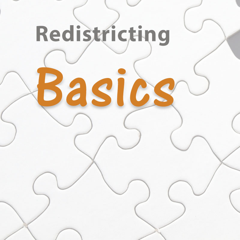 Redistricting Basics Home